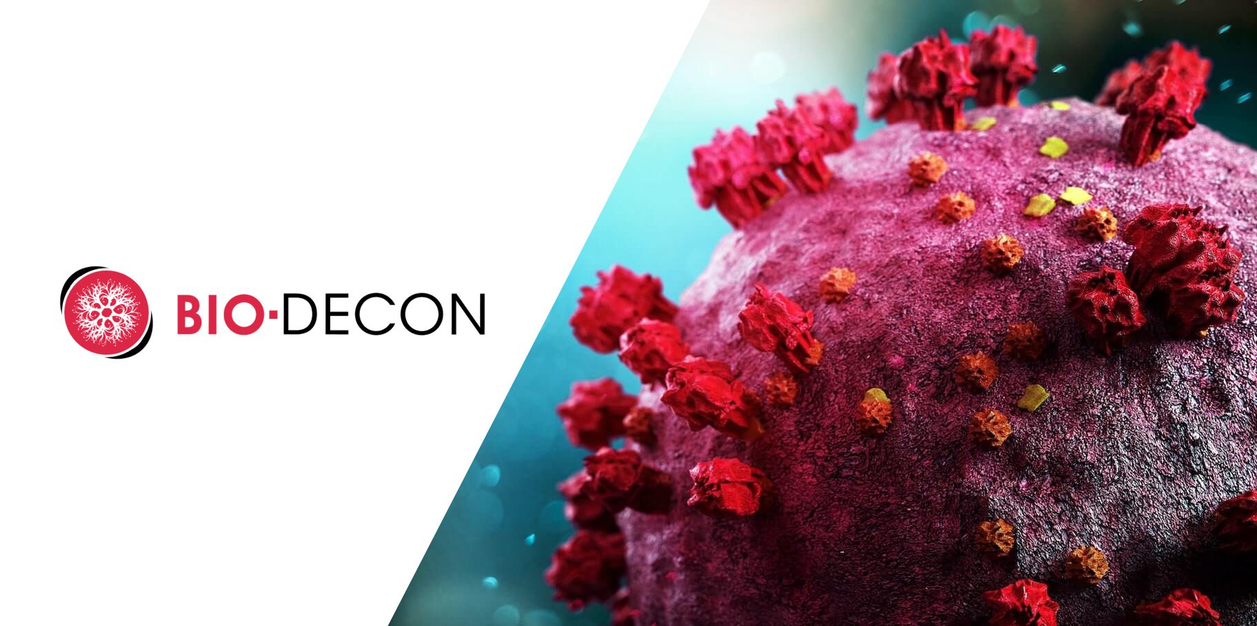 Viral Cleaning and Decontamination + Bio-Decon Decontamination Protocol ...